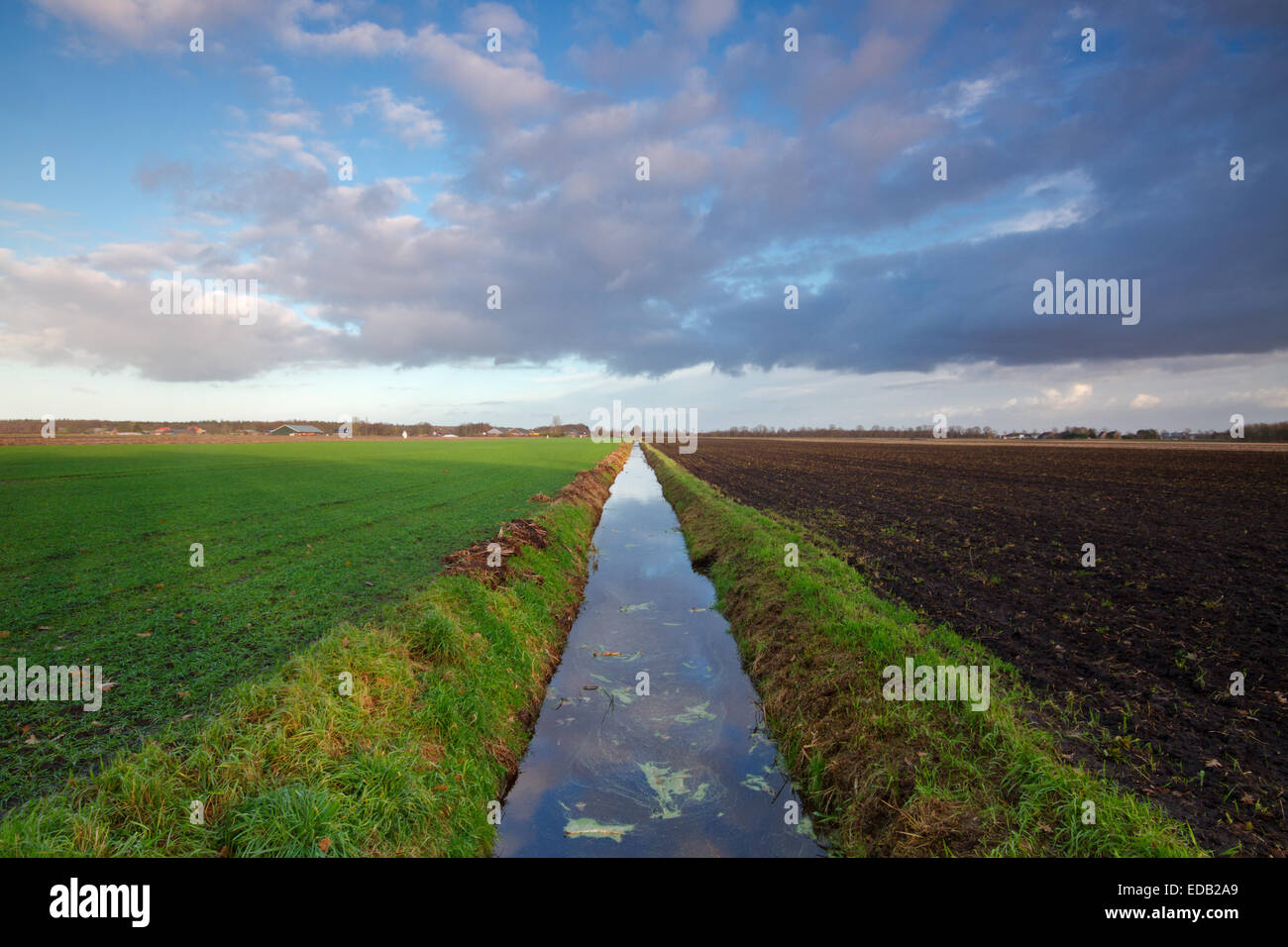 Long straight ditch in polder landscape Stock Photo - Alamy