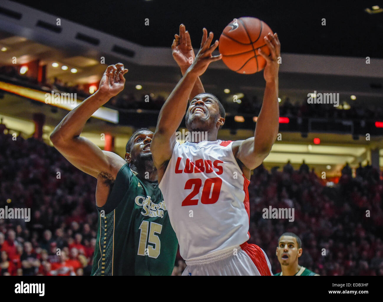 Albuquerque, New Mexico, USA. 3rd Jan, 2015. Roberto E. Rosales.Lobo ...