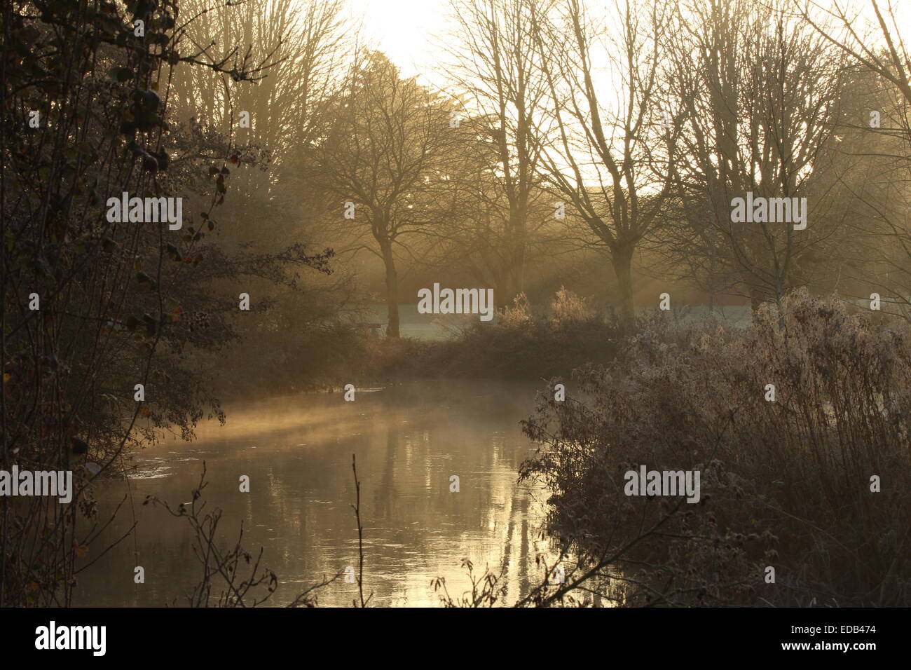 Colne park essex hi-res stock photography and images - Alamy