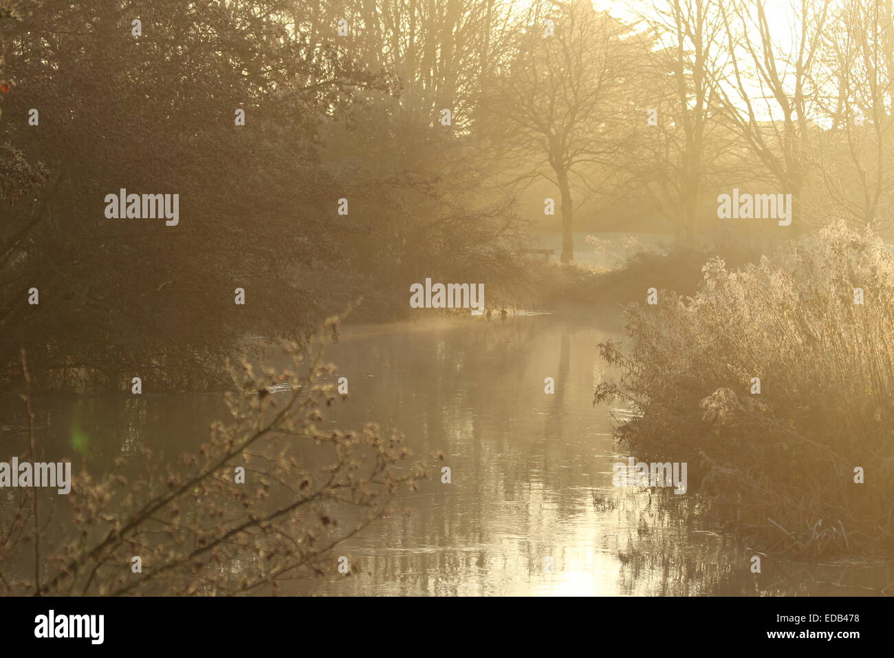 Misty River Colne, Castle Park, Colchester, Essex Stock Photo - Alamy