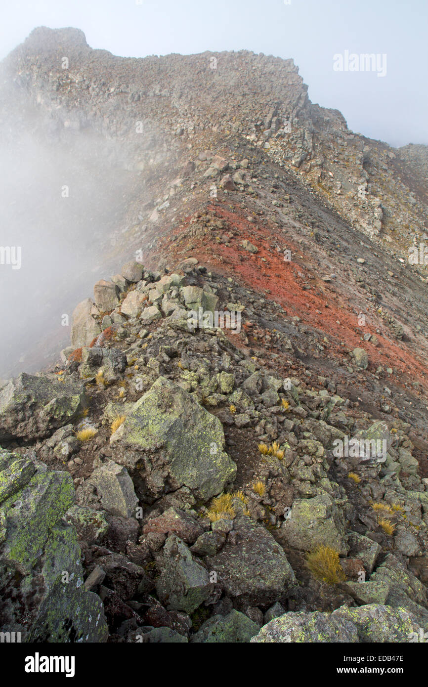 Volcanic ridge in Tongariro National Park Stock Photo - Alamy