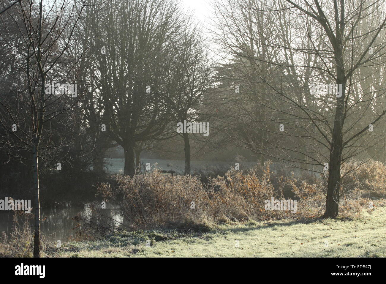 Frosty morning by the River Colne in Colchester, Essex, just outside ...