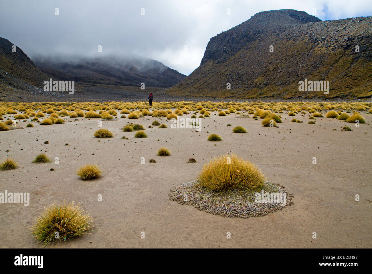 Hiking through an empty valley in Tongariro National Park Stock Photo ...