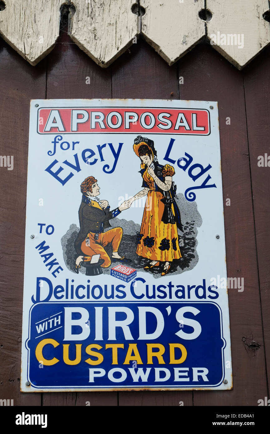 Birds Custard Logo