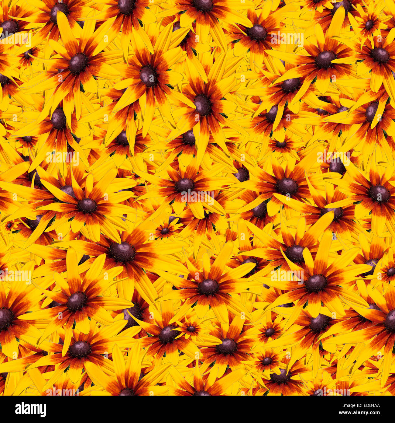 The yellow flower abstract seamless patterns for a background Stock ...