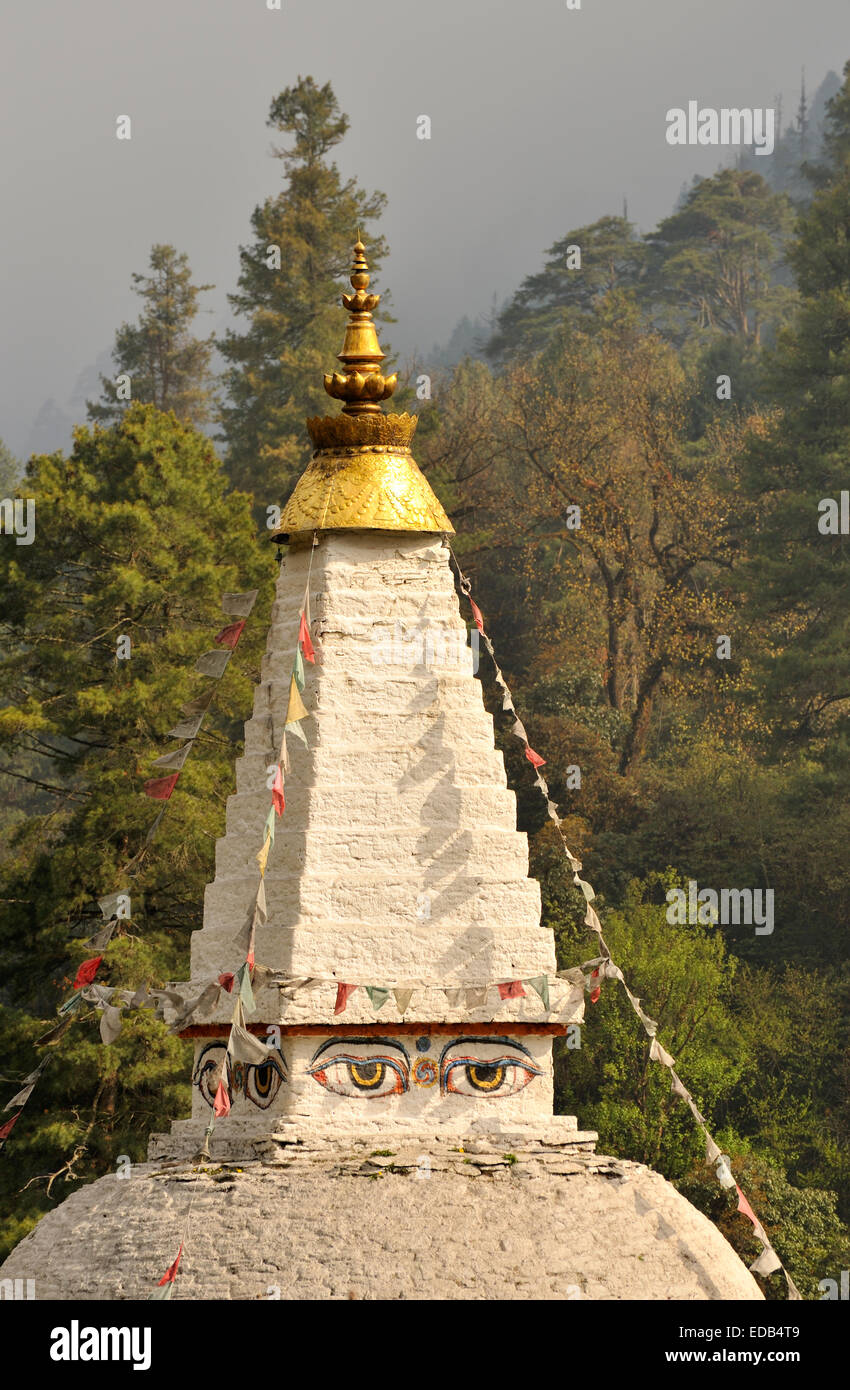 Chendebji Chorten, Bhutan Stock Photo - Alamy