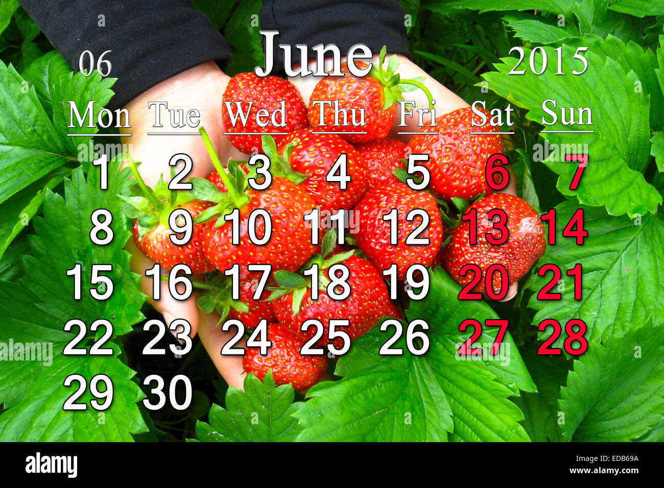 calendar for the June of 2015 year on the background of fresh ...