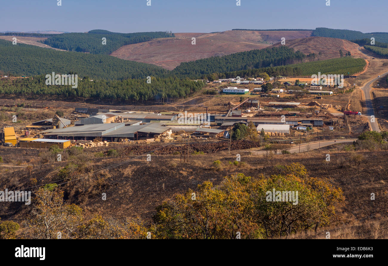 HHOHHO, SWAZILAND, AFRICA - Sawmill and tree plantation near town of ...