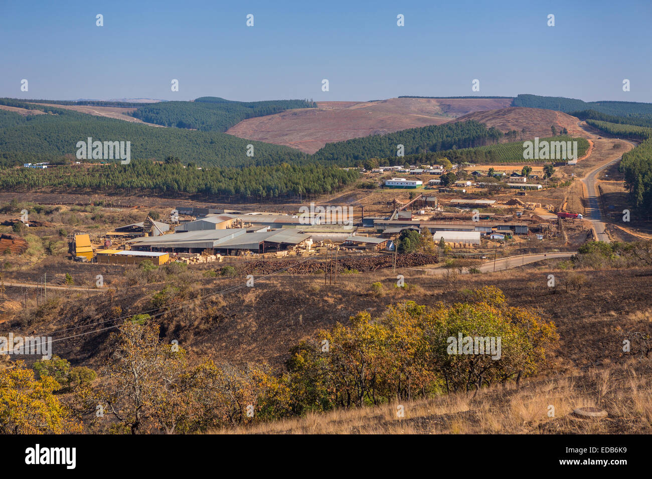 HHOHHO, SWAZILAND, AFRICA - Sawmill and tree plantation clear cutting ...