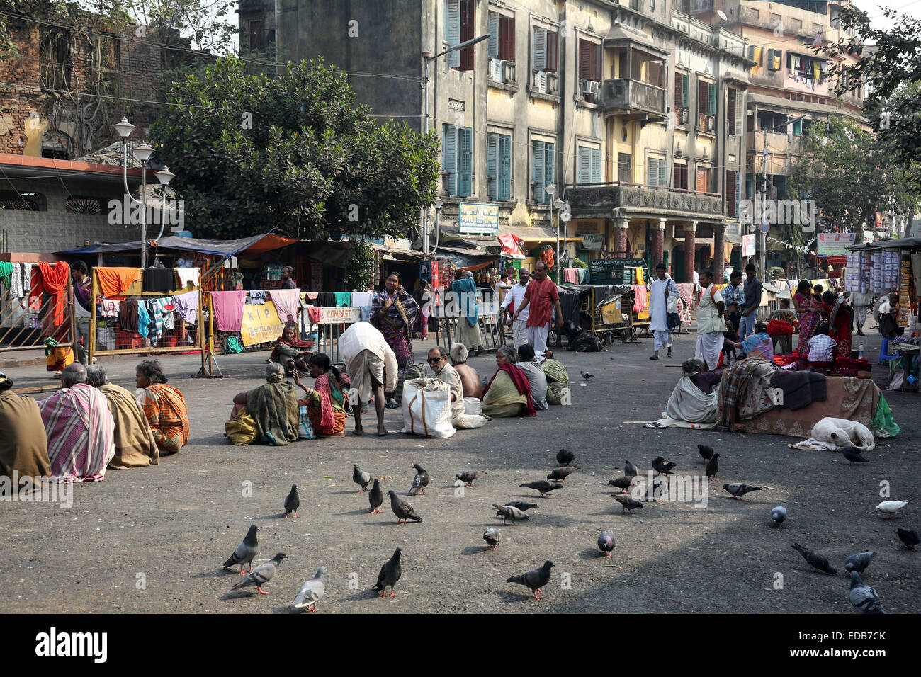 India kolkata nirmal hriday hi-res stock photography and images - Alamy