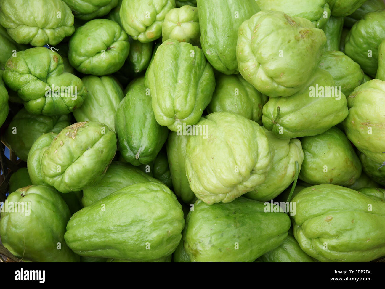 Badung traditional market, Denpasar, Bali. Badung Market is the largest ...