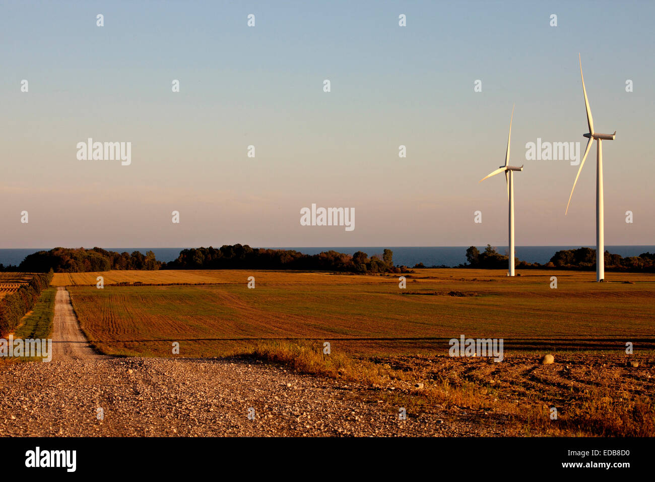 Rural Country scene on Lake Erie Ontario Canada wind farm Stock Photo ...