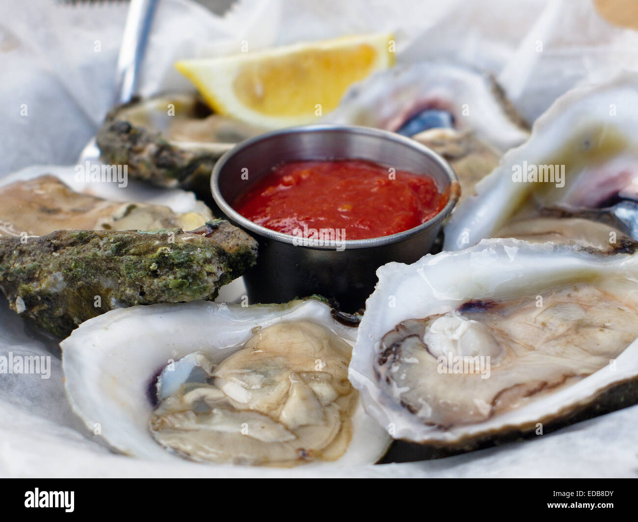 Close Up View of Oysters on a Half Shell, Baltimore, Maryland Stock ...