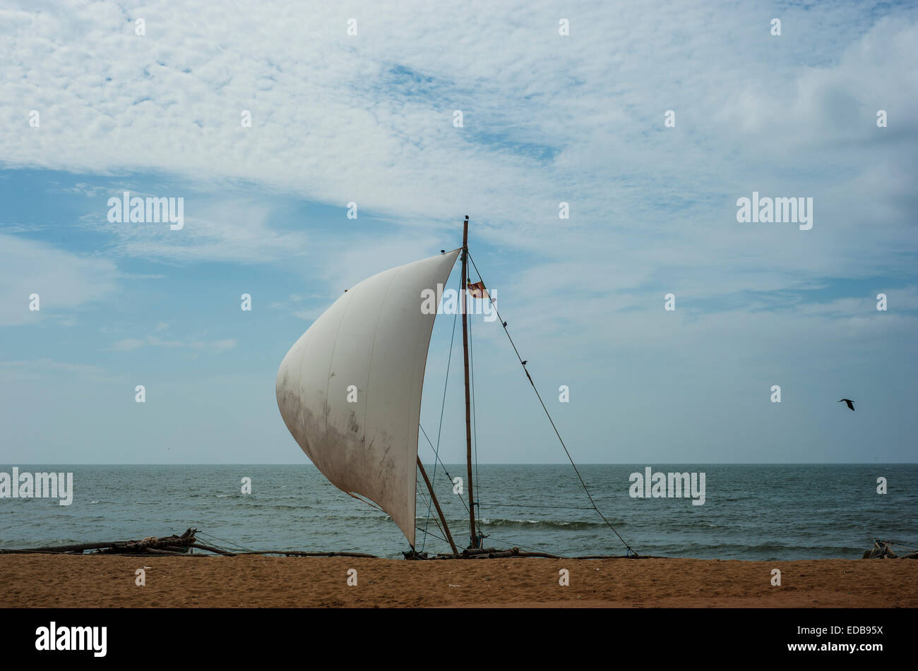 Negombo Beach north of Colombo, Sri Lanka Stock Photo - Alamy