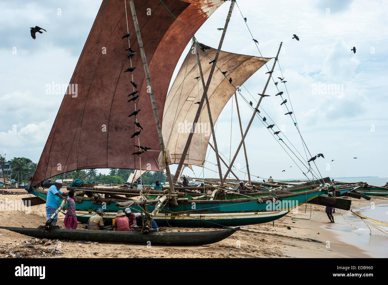 Negombo Beach north of Colombo, Sri Lanka Stock Photo - Alamy
