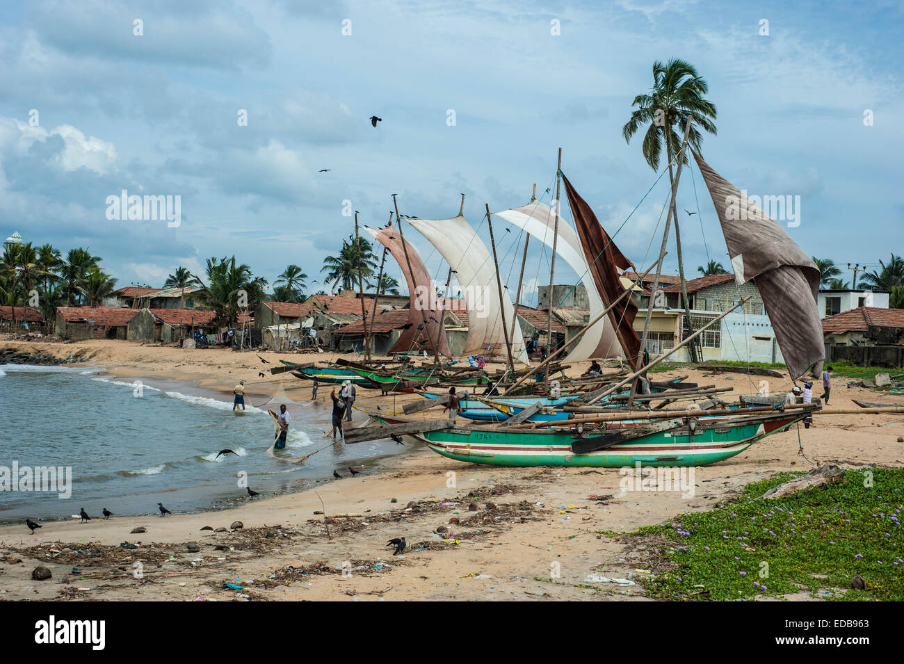 Negombo Beach north of Colombo, Sri Lanka Stock Photo - Alamy