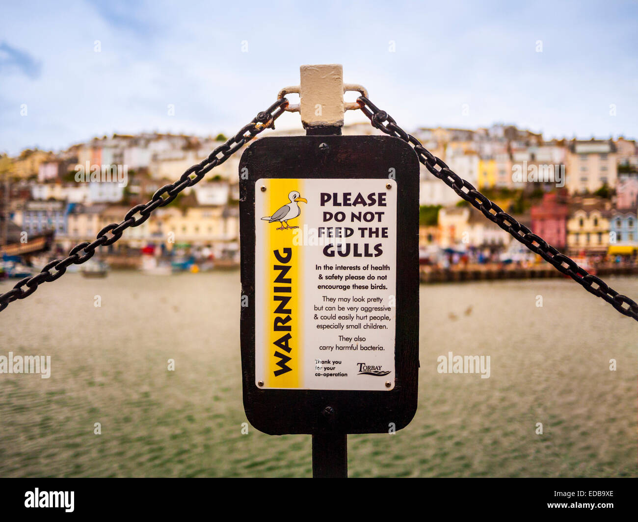 Seagull warning sign hi-res stock photography and images - Alamy