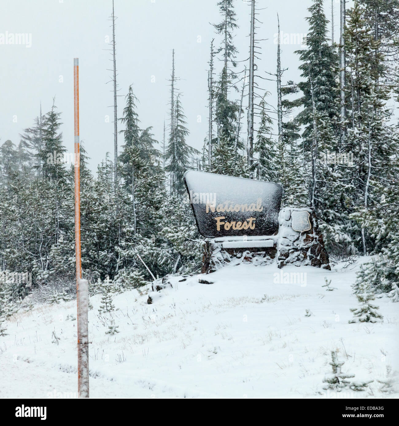 National forest sign hi-res stock photography and images - Alamy