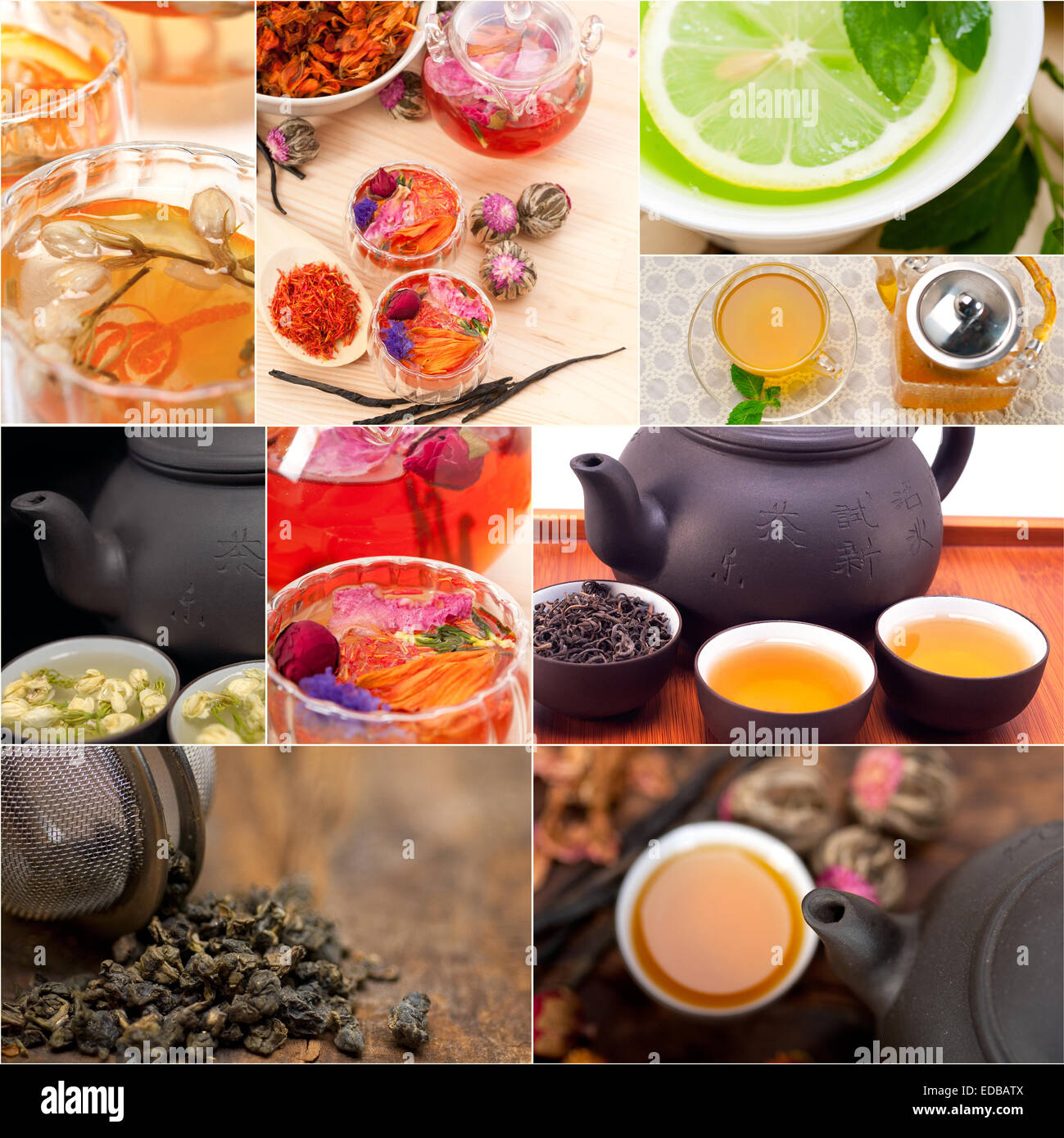 collection of different herbal tea infusion collage white frame Stock ...