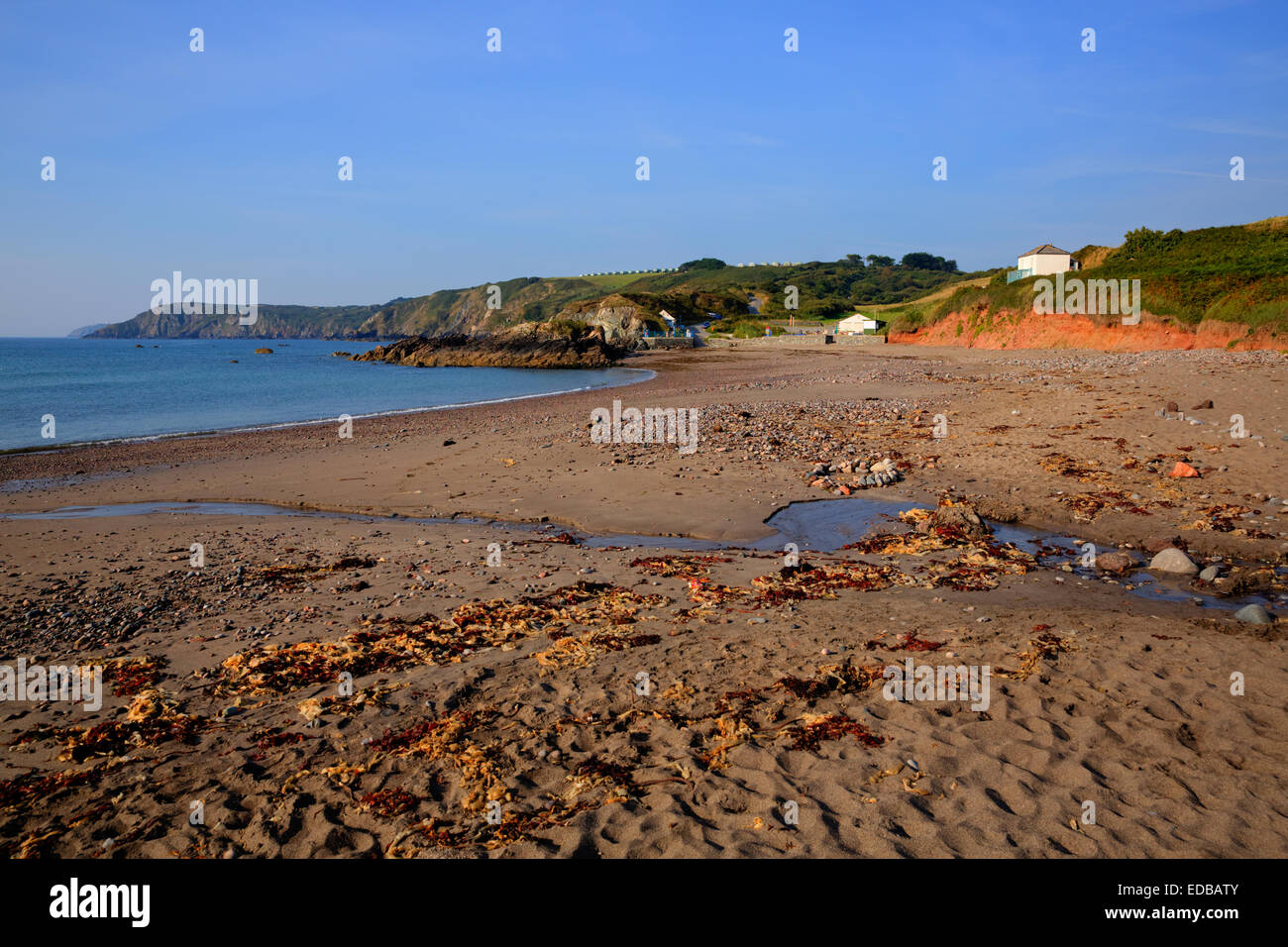 Seaweed Kennack Sands beach Cornwall uk on the Lizard Heritage coast ...