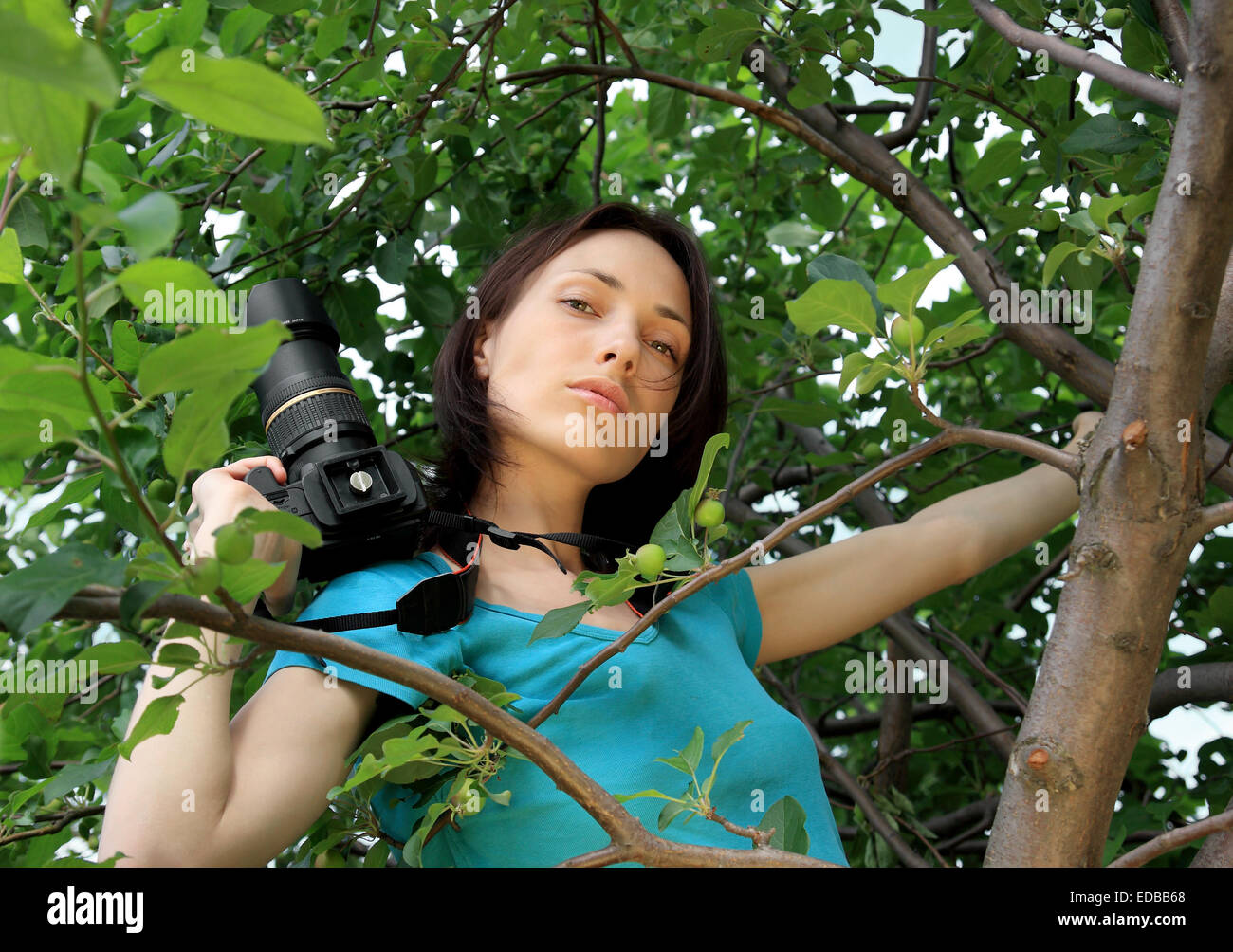 photographer on nature Stock Photo - Alamy