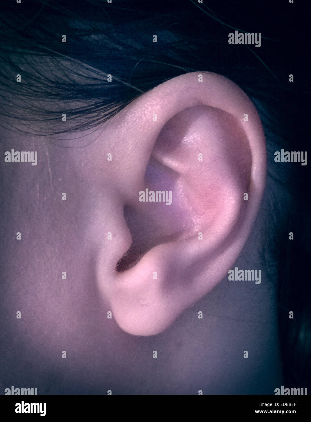 human ear closeup Stock Photo - Alamy