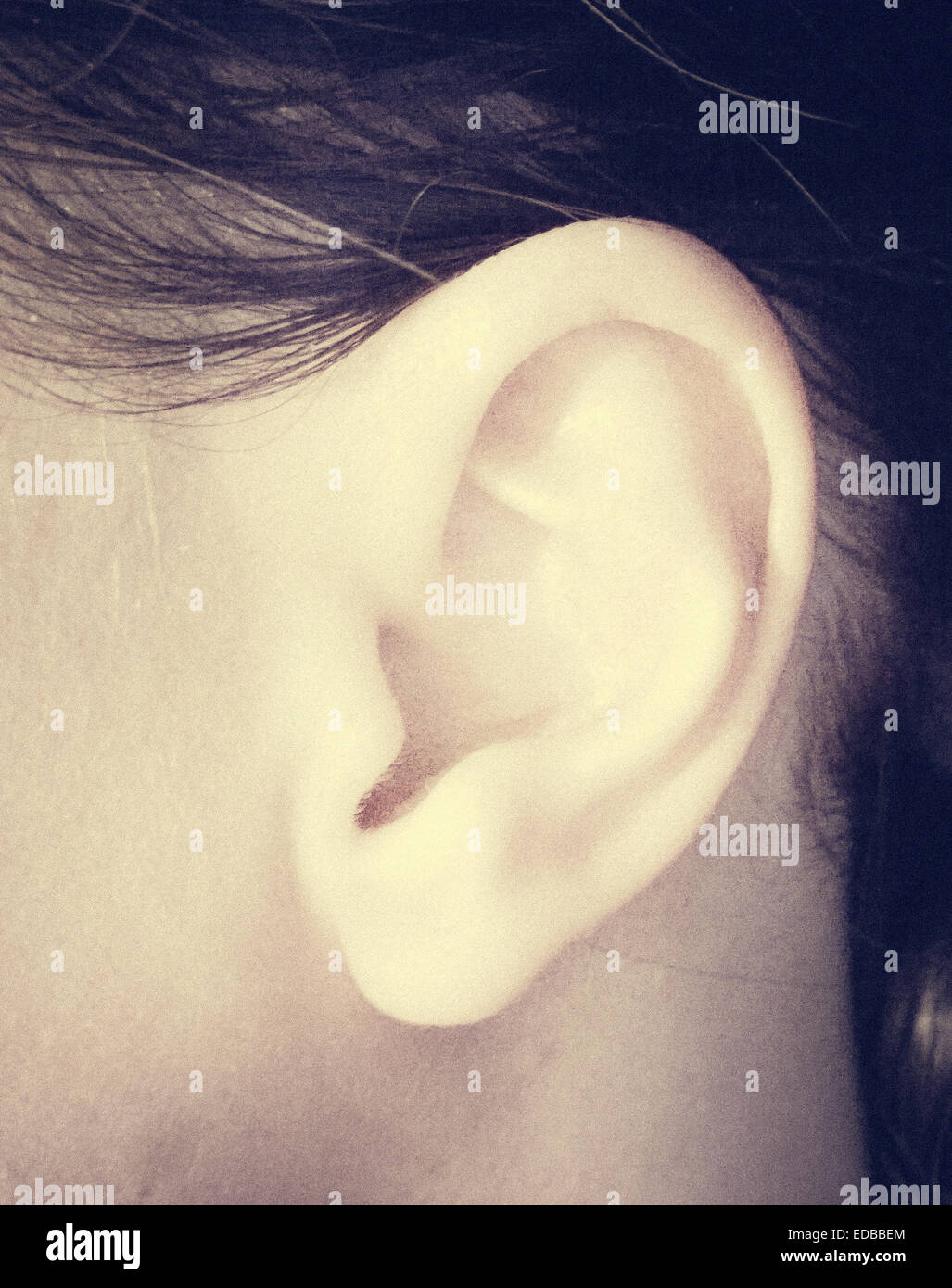 Side one ear lobe hi-res stock photography and images - Alamy