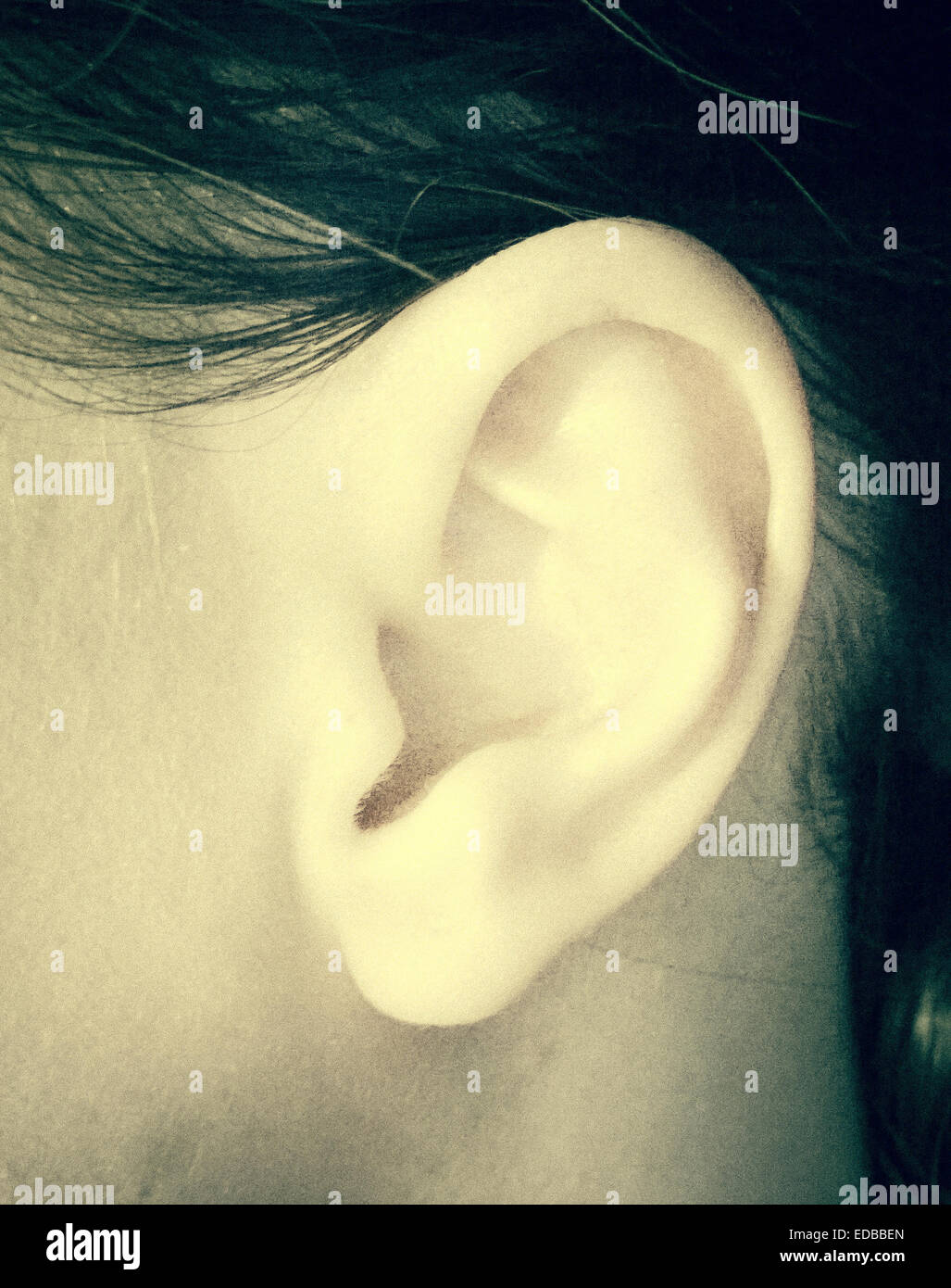 Human ear closeup hi-res stock photography and images - Alamy