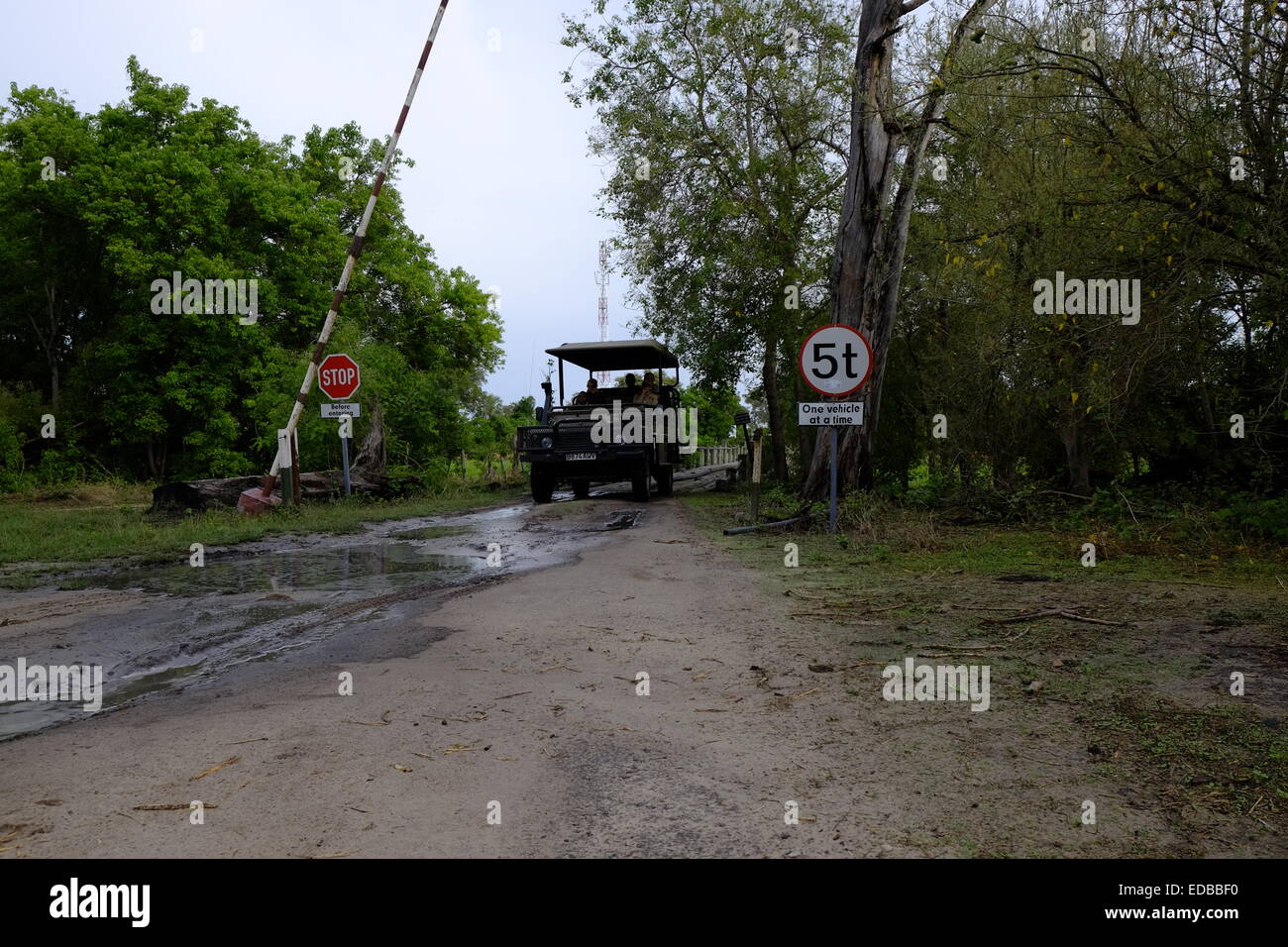 Game viewing vehicle hi-res stock photography and images - Alamy