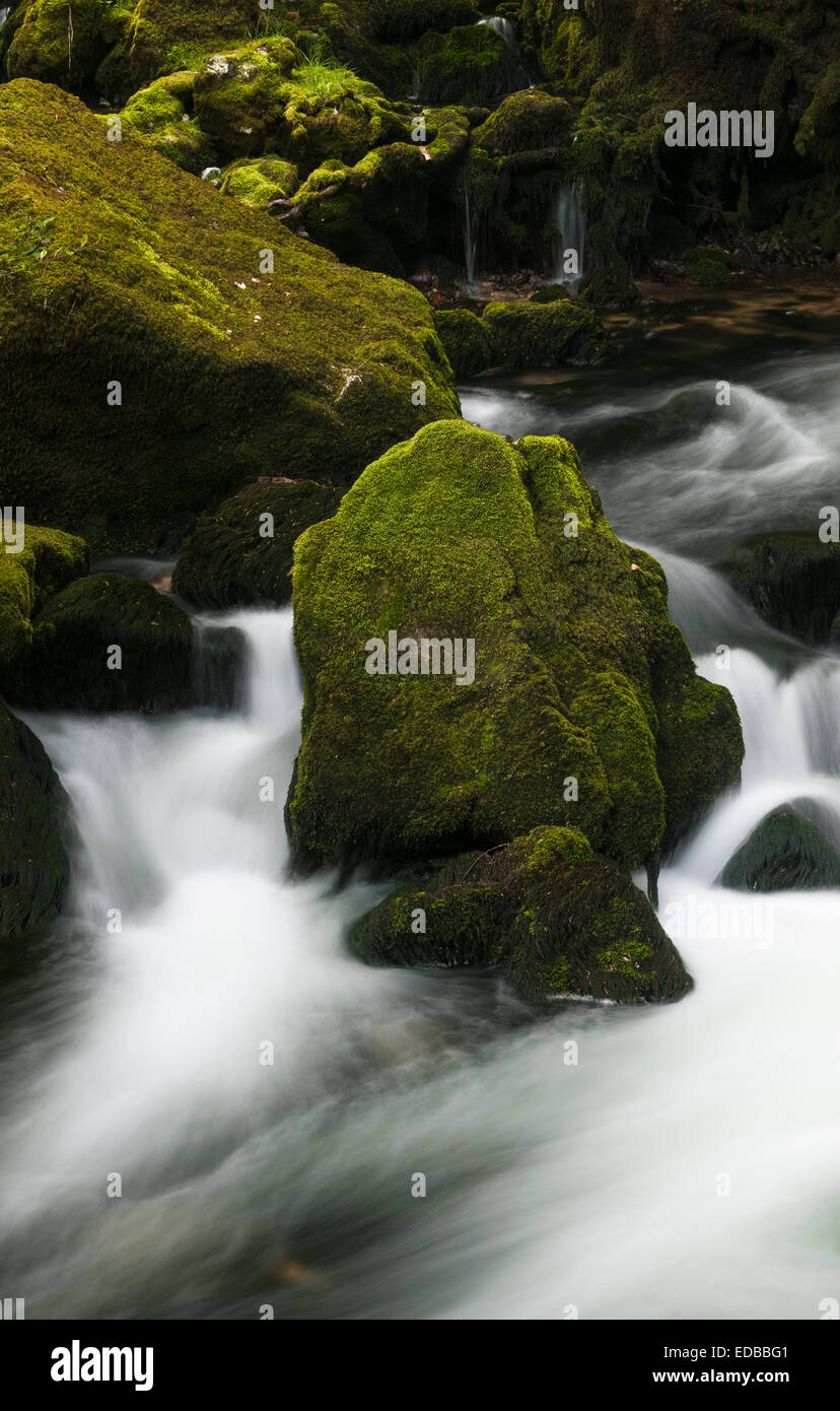 Waterfall, source of the Orbe river, Source de l'Orbe, Swiss Jura ...