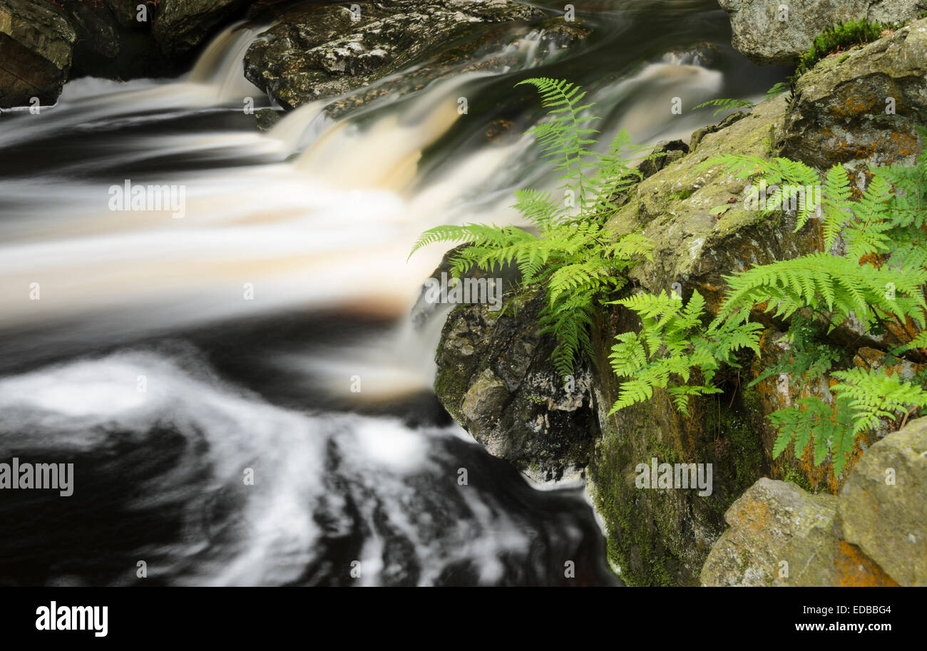 High fens eifel nature park hi-res stock photography and images - Alamy