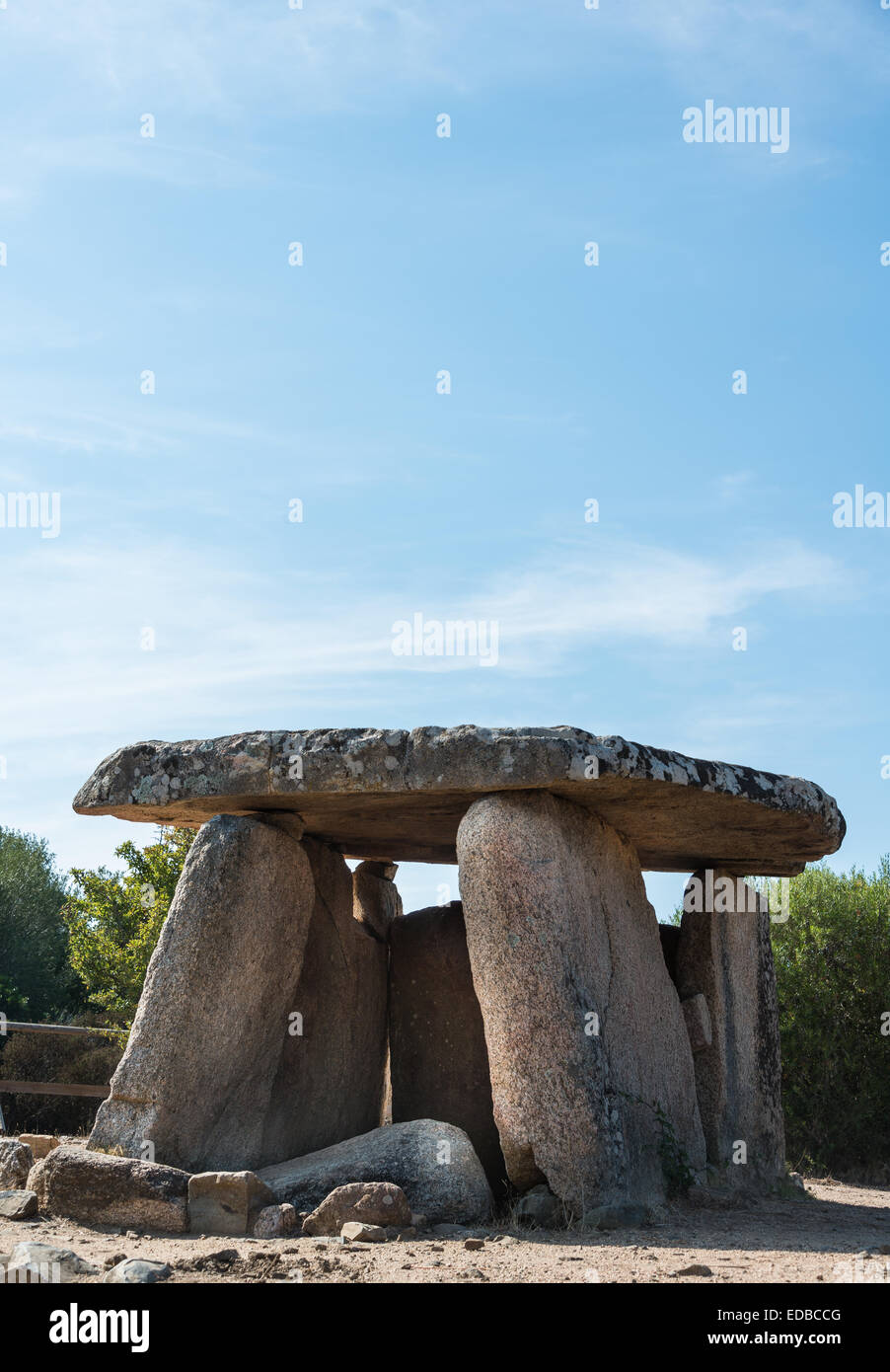 Remains prehistoric hi-res stock photography and images - Alamy