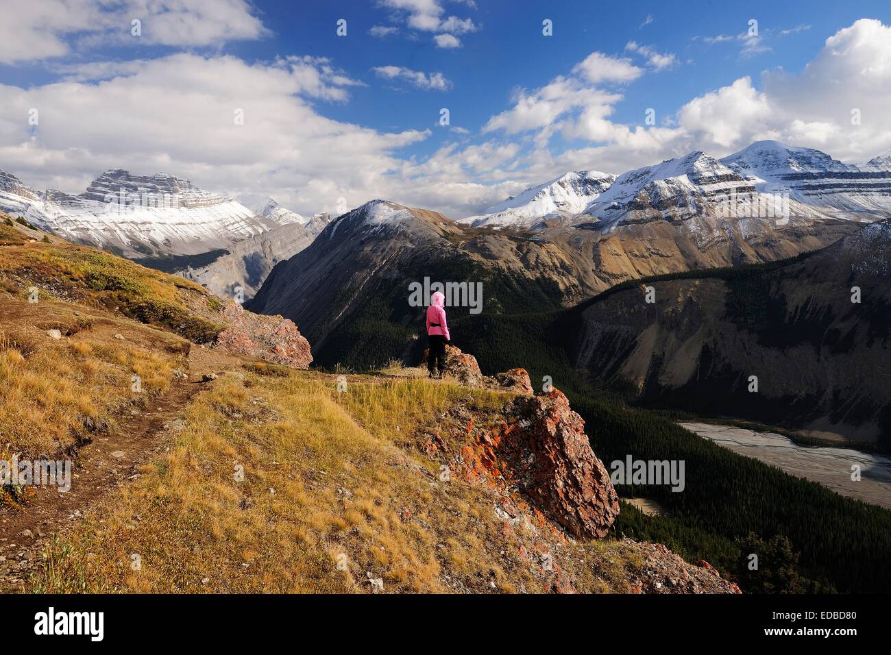 Parkers Ridge Trail in the Rocky Mountains, Jasper National Park ...