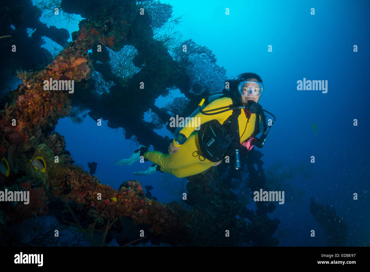 Diver in the wreck of the Iro Maru, fleet oil tanker sunk by torpedo ...
