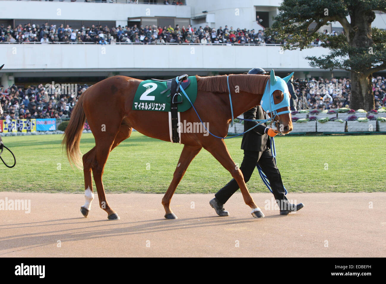 Kyoto, Japan. 4th Jan, 2015. Meiner Merienda Horse Racing : Meiner ...