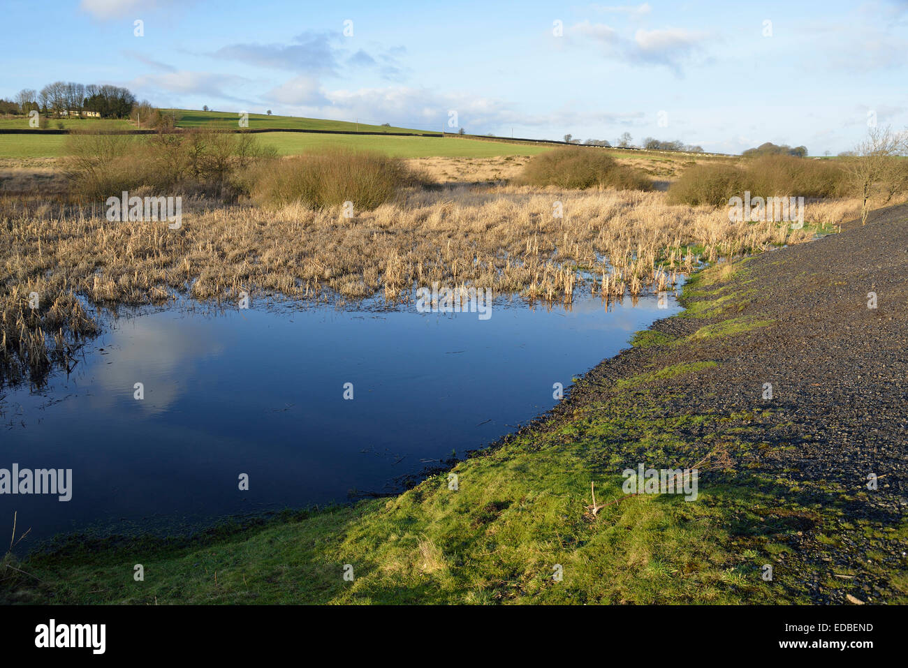 Charterhouse Lead Mine Ponds, Mendip Hills, Somerset Stock Photo - Alamy