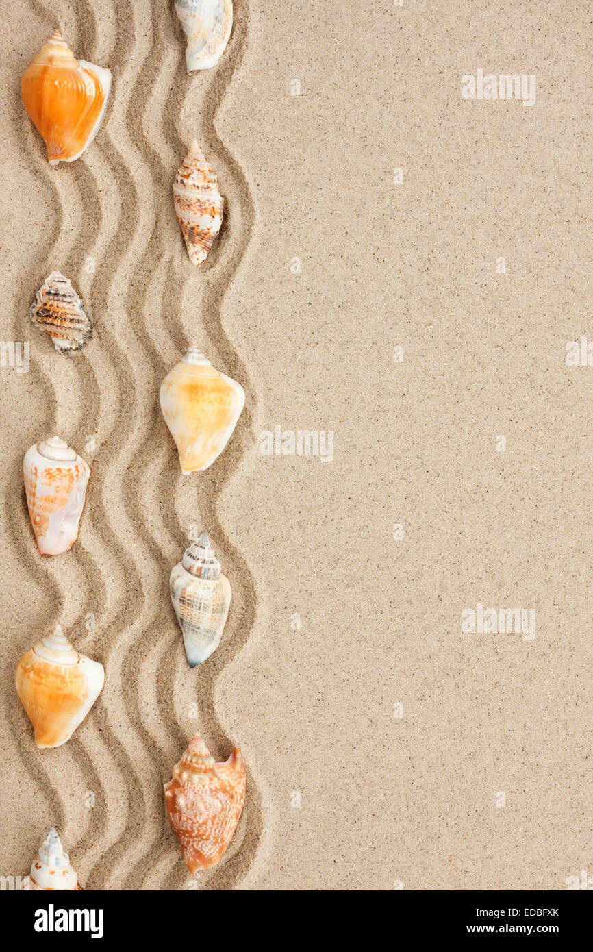 Stripe of seashells lying on the sand with space for text Stock Photo ...