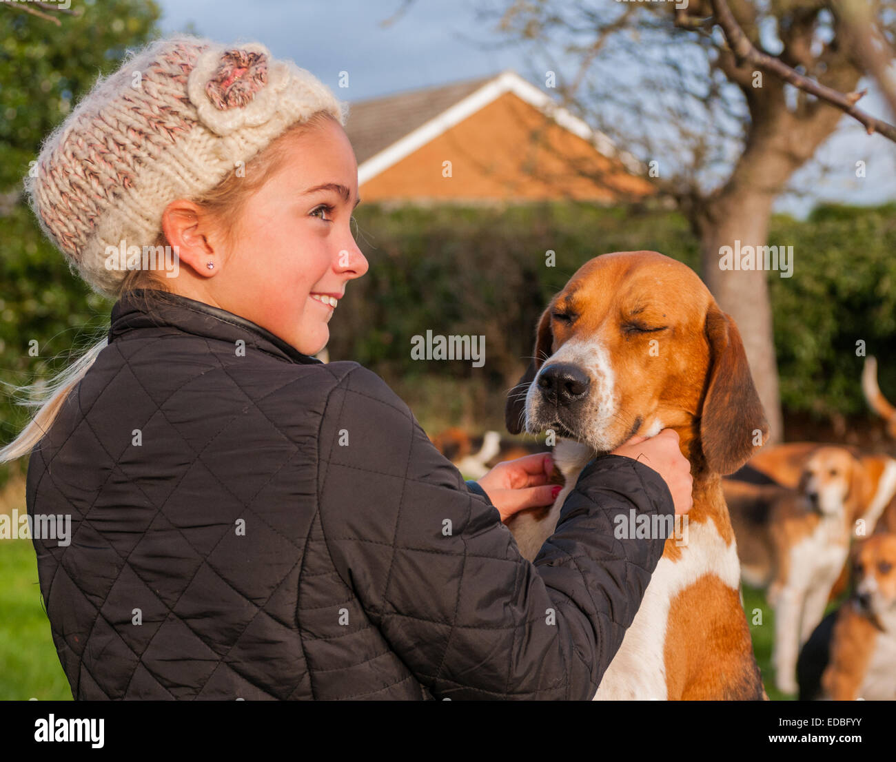 Cheerful hound hi-res stock photography and images - Alamy