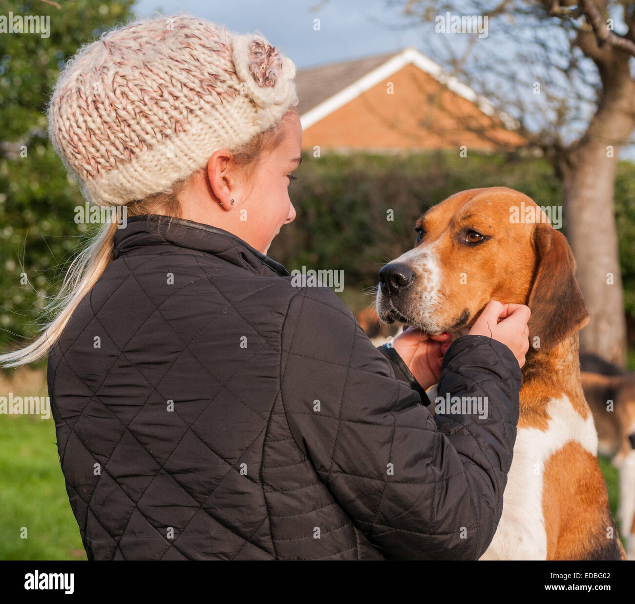 Portrait of an attractive girl with fox hound dog Stock Photo - Alamy
