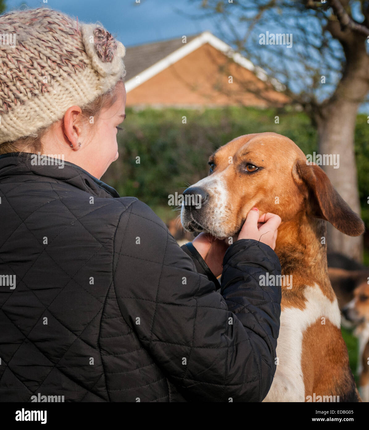 Portrait of an attractive girl with fox hound dog Stock Photo - Alamy