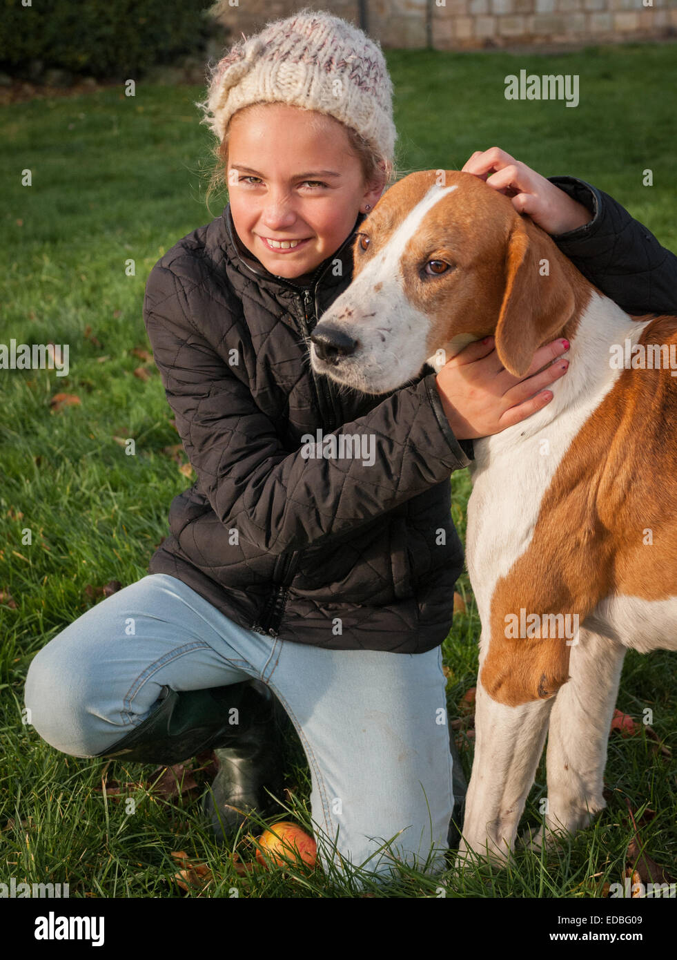 Portrait of an attractive girl with fox hound dog Stock Photo - Alamy