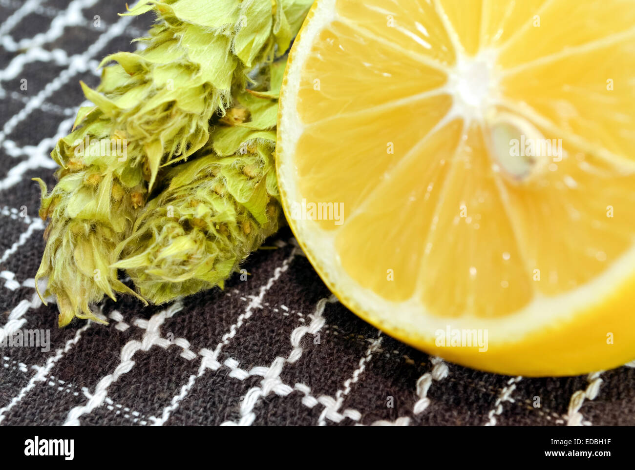 Fruit lemon stem hi-res stock photography and images - Alamy