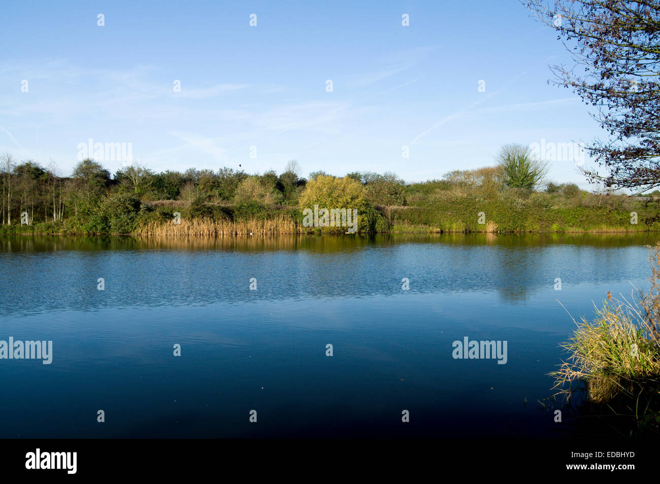 River Ely from the Ely Trail Footpath, Cardiff, South Wales Stock Photo ...