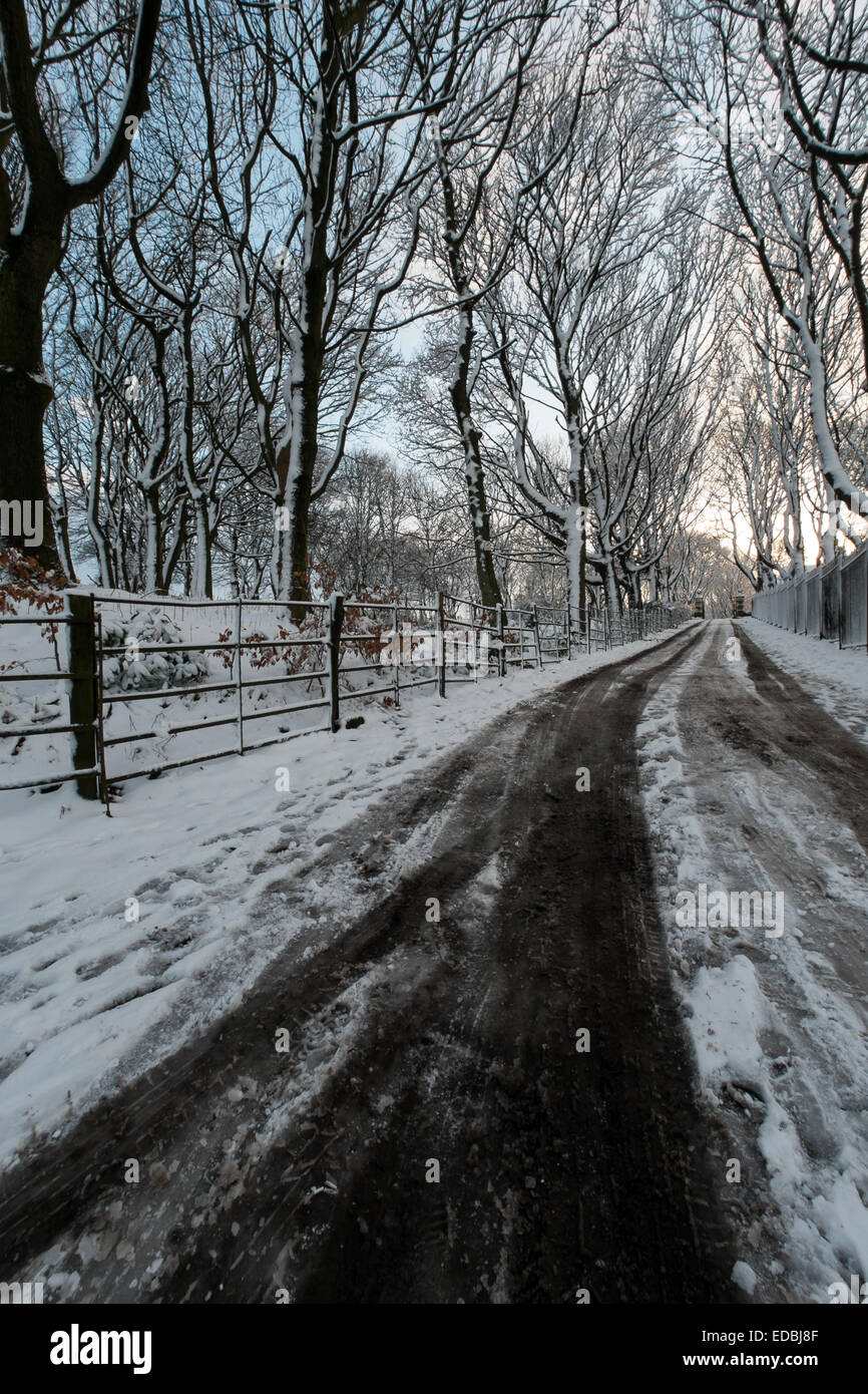 Cold snowy evening Stock Photo - Alamy