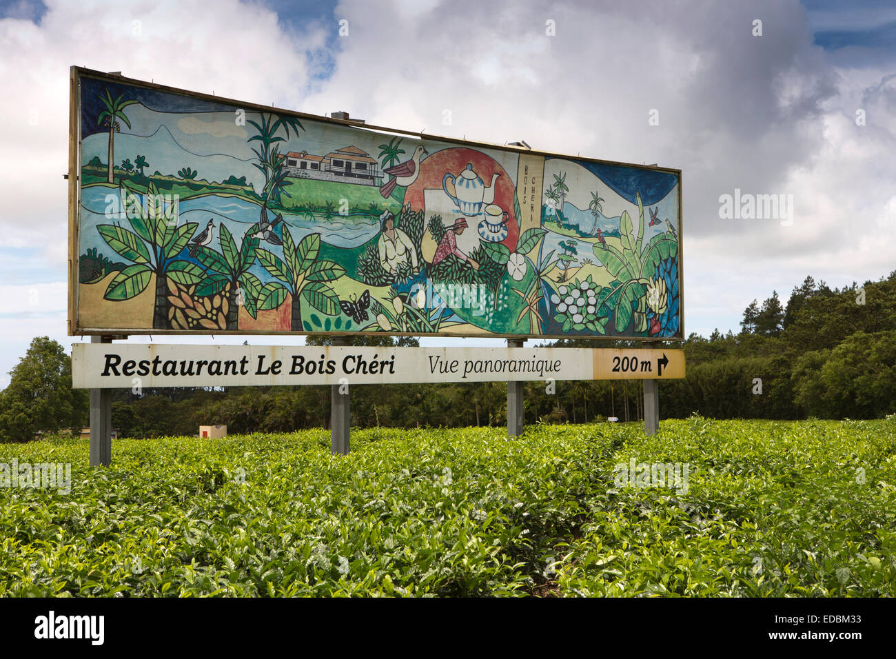 Mauritius, Bois Cheri, tea plantation, hoarding advertising tourist ...
