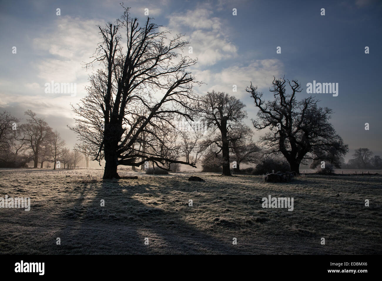 Hard frost over fields in the Berkshire countryside Stock Photo - Alamy
