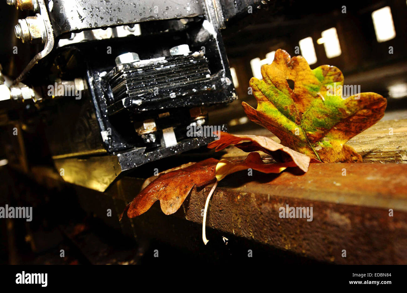 Illustrative image of leaves on a train track Stock Photo - Alamy