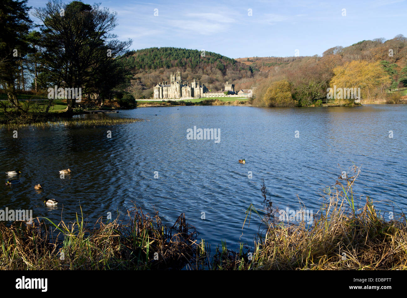 Margam Manor, Victorian Manor House and lake, Port Talbot, South Wales ...