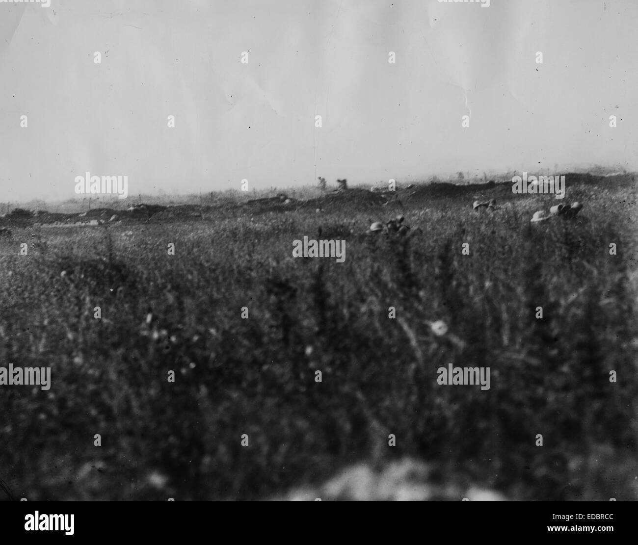 Take all Black and White Stock Photos & Images - Alamy