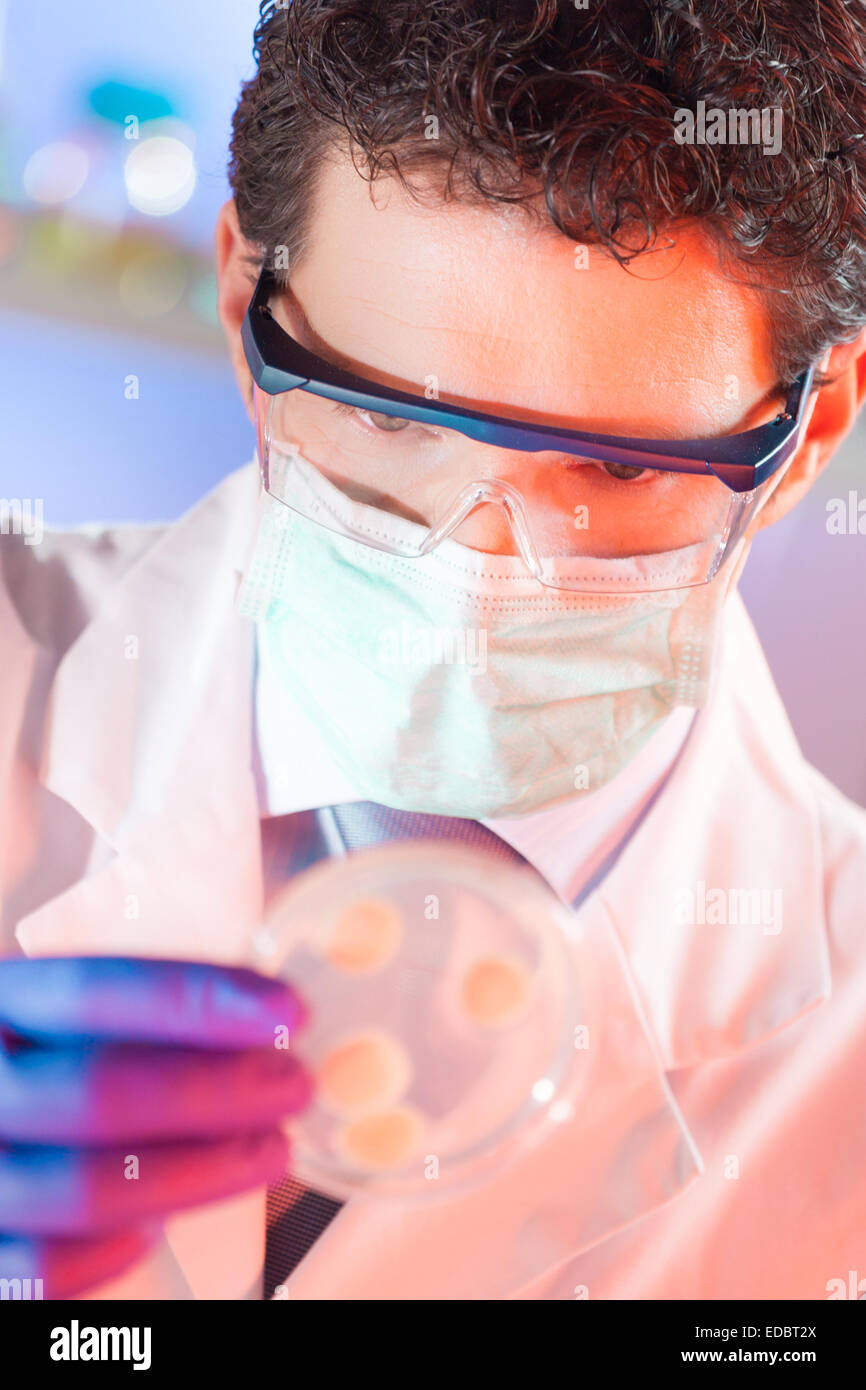 Scientist observing petri dish Stock Photo - Alamy